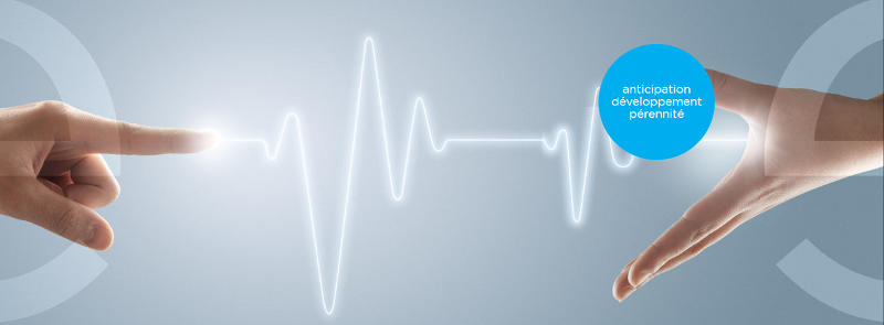 Ellisphere Logo
